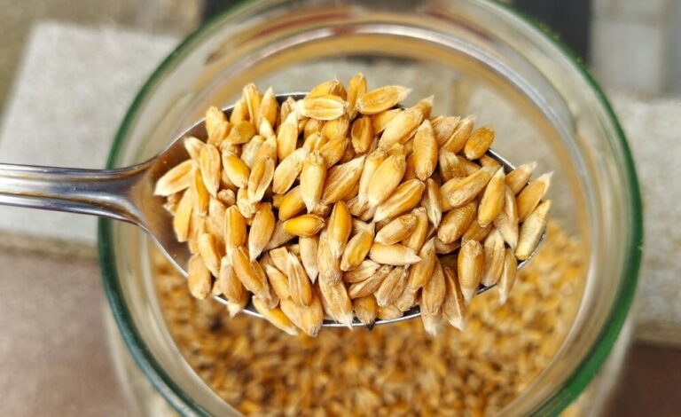 Sok od spelte - Napitak koji zaista leči sve? || Vaš Doktor